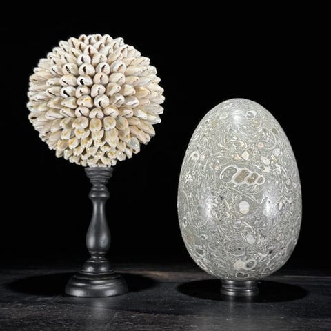 Koriste-esine - Ei lähtöhintaa - kaunis pari Shell Ball ja Turritella ...