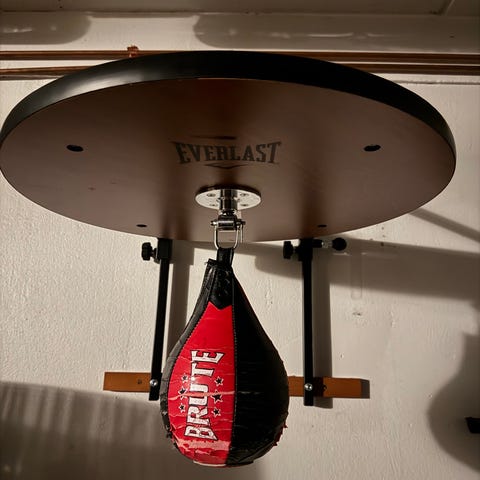 Everlast Reflex Bag -seisova lyöntisäkki/päärynäpallo | Tori