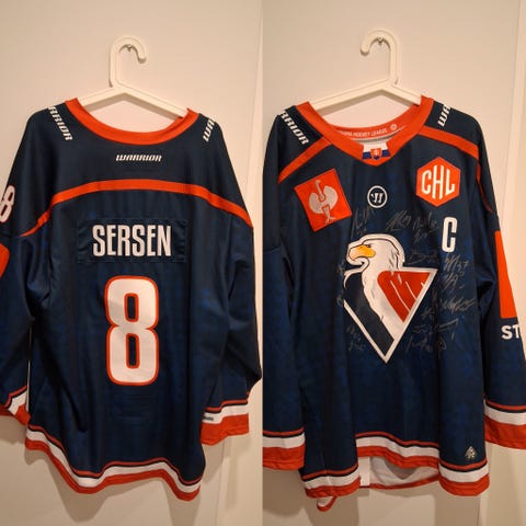 Milan Gulas HC Plzen 2018-19 | Tori