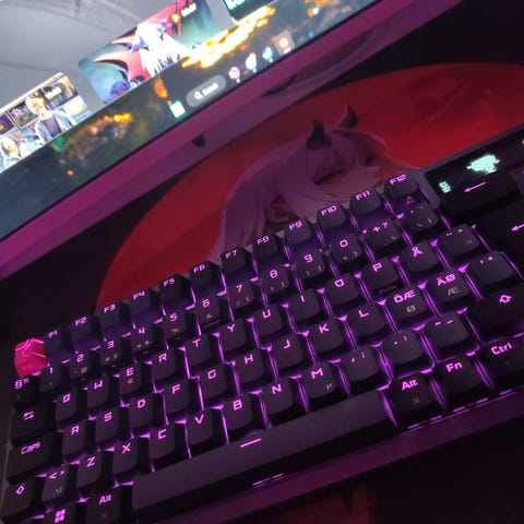 ASUS Rog Falcion Rx | Tori