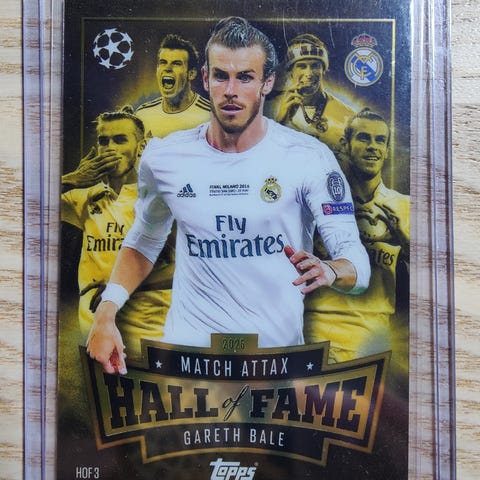 Hall of Fame / Wesley Sneijder / Topps Match Attax | Tori