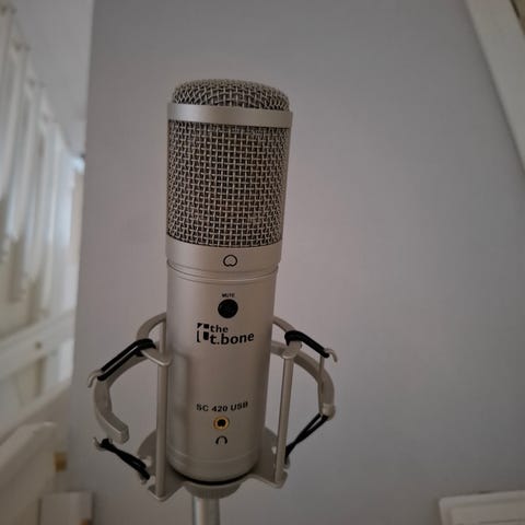Studio Projects B1 microphone | Tori
