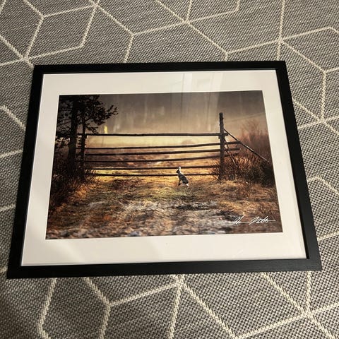 Valokuvataulu jossa riekko | Tori