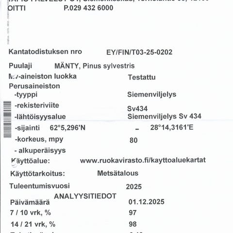 Männynsiemeniä kylvöön | Tori