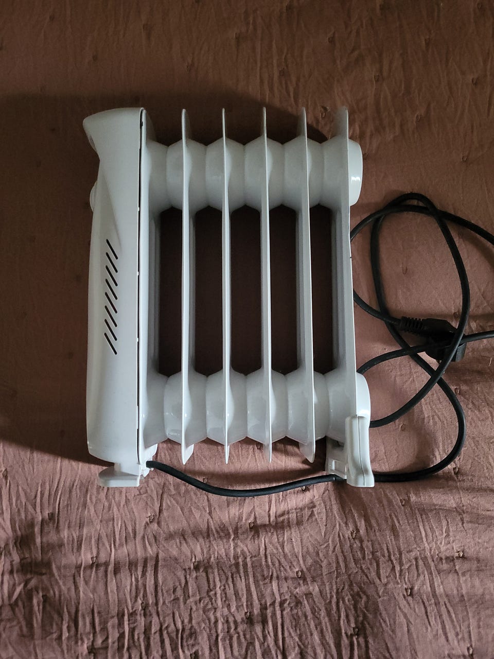 Purmon patteri | Tori