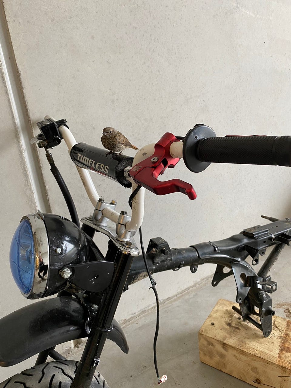 Ostetaan kilvellinen runko monkey/manki ja 50cc motti | Tori